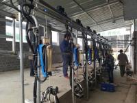 China HL-G2 Single line 1x9 Automatic Milking Parlour with Waikato Milk Flow Meter for sale