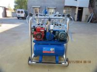 China HL-JN03A  4 Milking Positions Cow Portable Milking Machine with Diesel and Electric Motor for sale
