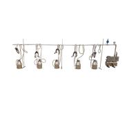 China HL-JN10 High Efficiency 5 Bucket Milking Machine for Dairy Cow Farm for sale
