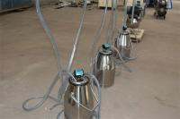 China HL-JN10 Cow Farm Pail Bucket Milking Machine with Electric Motor 380V 50Hz for sale