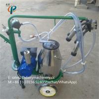 China HL-JN07 Single Bucket Portable Milking Machine for Cow with Dry Pump for sale