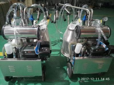 China HL-JN08 Cow Portable Petrol Milking Machine with 25L Double Bucket for sale