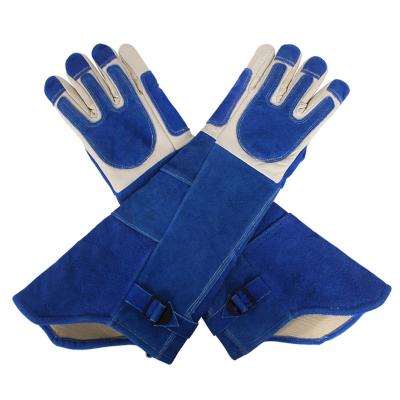 China Animal Anti Bite Protective Gloves Length 55CM Extra Long Design for sale