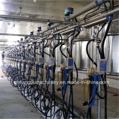 China Automatic Milking System with Herringbone Structure and Waikato Milk Meter - CE, ISO, SGS, FDA Certified Cow Milking Machine for sale