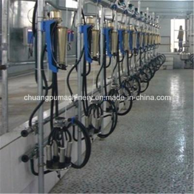 China Automatic Milking System with Herringbone Structure and Waikato Milk Meter for Cow Farm - CE ISO SGS FDA Certified for sale