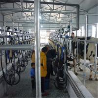 China Herringbone Milking Parlor with 380V/50Hz Power and CE ISO SGS FDA Certification for Dairy Cows for sale
