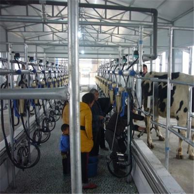 China Herringbone Milking Parlor with 380V/50Hz Power and CE ISO SGS FDA Certification for Dairy Cows for sale