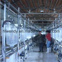 China Herringbone Milking Parlor System with ISO Specification and Automatic Cup Remover for Dairy Cow Farms for sale