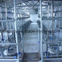 China Herringbone Milking Parlor with Glass Milk Bottle and ISO Specification for Dairy Farms for sale