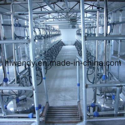 China Herringbone Milking Parlor with Glass Milk Bottle and ISO Specification for Dairy Farms for sale