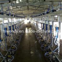 China Dairy Cow Milking Parlor Equipment with Herringbone Layout Automatic Cup Remover and ISO Specification Mobile Milking Machine for sale