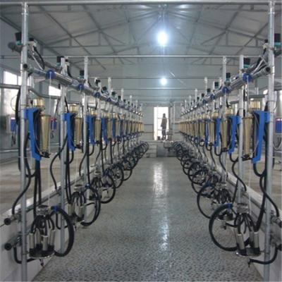 China Flow Milk Meter Herringbone Milking Parlor System with ACR Automatic Cluster Remover and Waikato Milk Meter for Cows for sale