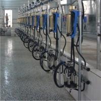 China Automatic Milking Parlor System with ACR Automatic Cluster Remover and Waikato Milk Meter in Herringbone Structure for sale