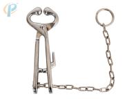 China Bull Holders Bull Tongs Veterinary Tools And Equipment For Cow And Cattle With 35cm Chain for sale
