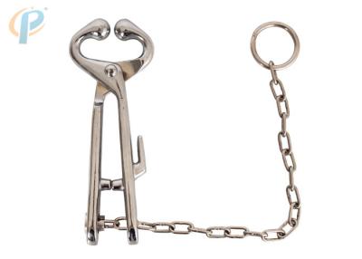 China Bull Holders Bull Tongs Veterinary Tools And Equipment For Cow And Cattle With 35cm Chain for sale
