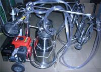 China Trolley type Gasoline Engine Portable Cow Milking Machine For Farm for sale