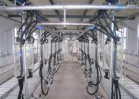 China Layout Compact Milking Equipment Herringbone Milking Parlor For Goat Farm for sale