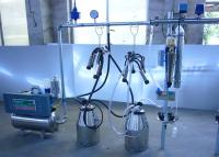 China 220V Double Bucket Milking Machine For Goats / Buffaloes , 40-60HZ Motor Equipped for sale