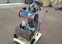 China Goat / Sheep Stainless Steel Dairy Milking Machine With ISO Certificate for sale