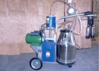 China Small Single Cow Mobile Milking Machine With Dry Vacuum Pump , 0.55kw - 0.75kw for sale