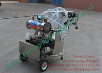 China Stainless Steel Gasoline Type Mobile Milking Machines for Dairy Farms for sale