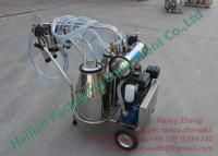 China Two Inox Buckets Gasoline Vacuum Milking Equipment for Dairy Cattles Milking for sale