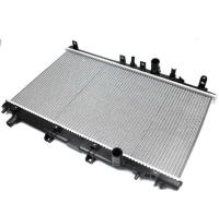 China 19010 5M1 H51 Honda Engine Replacement Parts Radiator Comp For Jade Fr1 FR2 for sale