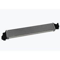 China Civic FC7 Honda Engine Replacement Parts 19710 5aa A01 Cooler Radiator for sale