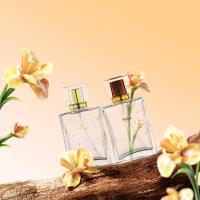 China 50ml Transparent Glass Clear Rectangle Bottle With Transparent Lid For Cosmetic Glass Bottles for sale