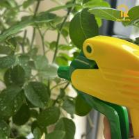 China Dual-Mode Trigger Sprayer Gun – Garden Watering & Household Disinfection Cleaning Tool for sale
