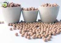 China Zeolite Molecular Sieve Unhydrolyzed Clay Binder For Regenerative Gas Reservoir for sale