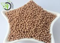 China Micropore 3A Molecular Sieve Refrigerant Desiccant Zeolite For Absorbing Moisture  XH-9 for sale