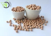 China Professional Desulfurizing Agent High Adsorption Rate ISO9001 Certifiation for sale