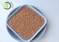 China Beige Molecular Sieves For Water Removal , Molecular Sieve Adsorbent for sale