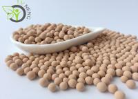 China Highly Zeolite Molecular Sieve for Separation and Purification in Environmental Applications for sale
