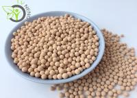 China Drying Methanol 4 Angstrom Molecular Sieves Commercial Adsorbent Type for sale