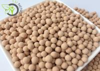 China Customizable Zeolite Molecular Sieves with ISO9001:2008 Certification for 3A, 4A, 5A, and 13X Models for sale
