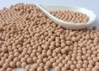 China 13X Molecular Sieve Desiccant Producer For Drying & Desulfurization of Liquefied Petroleum Gas for sale