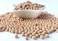 China Adsorption Zeolite 3A Molecular Sieve Desiccant For Alcohol Dehydration Drying for sale
