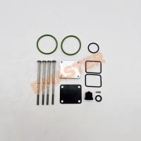 China OEM-compatible Fuel Injector Repair Kit With Precision-machined Durable Components For 799 Single Plunger Pump for sale