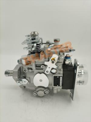 China Fuel Injector Pump 0460424081 VE4 12F1100R378-8 3917554 R378-8 for sale