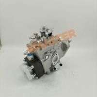 China Fuel Injector Pump 0460424128 VE4 12F1400R666 905200749021 R666 for sale