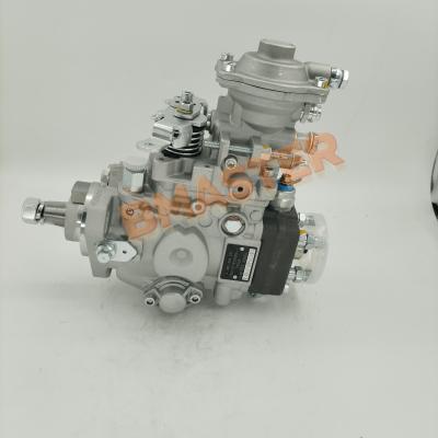 China Fuel Injector Pump 0460424237 VE4 12F1900R905-1 77529 R905-1 for sale