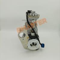 China Fuel Injector Pump 0460424376 VE4 12F1300R558-3 72360234 R558-3 for sale