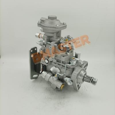China Fuel Injector Pump 0460424403 VE4 12F1100L2013-1 504208082 L2013-1 for sale
