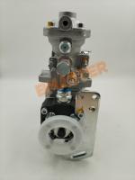 China Fuel Injector Pump 0460424425 VE4 12F1100L2036 504219402 L2036 for sale