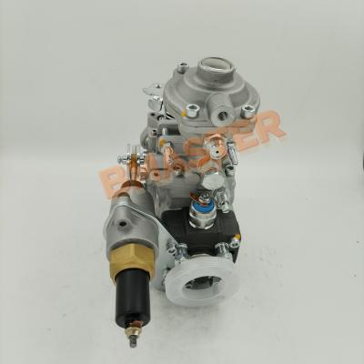 China Fuel Injector Pump 0460424436 VE4 12F1250R2016-1 504287060 R2016-1 for sale