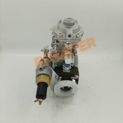 China Fuel Injector Pump 0460424496 VE4 12F1250R2087 504385873 R2087 for sale