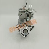 China Fuel Injector Pump 104641-8081 NP-VE 11F1100RNP2601 32C65-10310 R2601 for sale