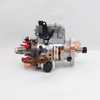 China Fuel Injection Pump DB4427-5971 504115531 for Generator (47 KW) Tier 2 4 NA 2V Engine for sale